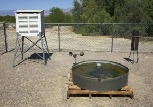 Earth's Surface and Air Temperature - EazyBio