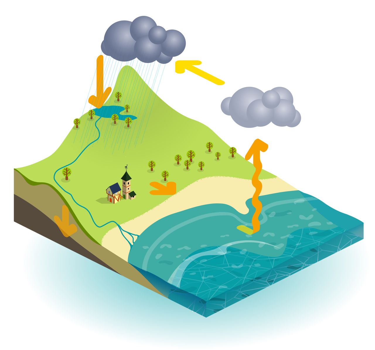 The Hydrologic Cycle - EazyBio